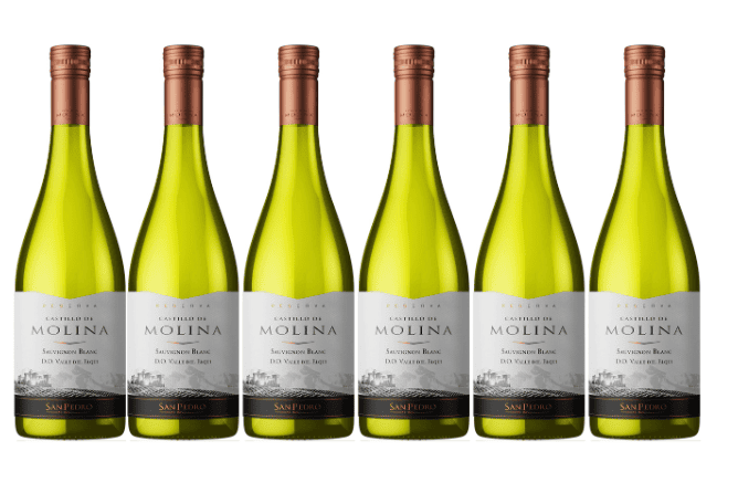Pack Castillo Molina Sauvignon Blanc